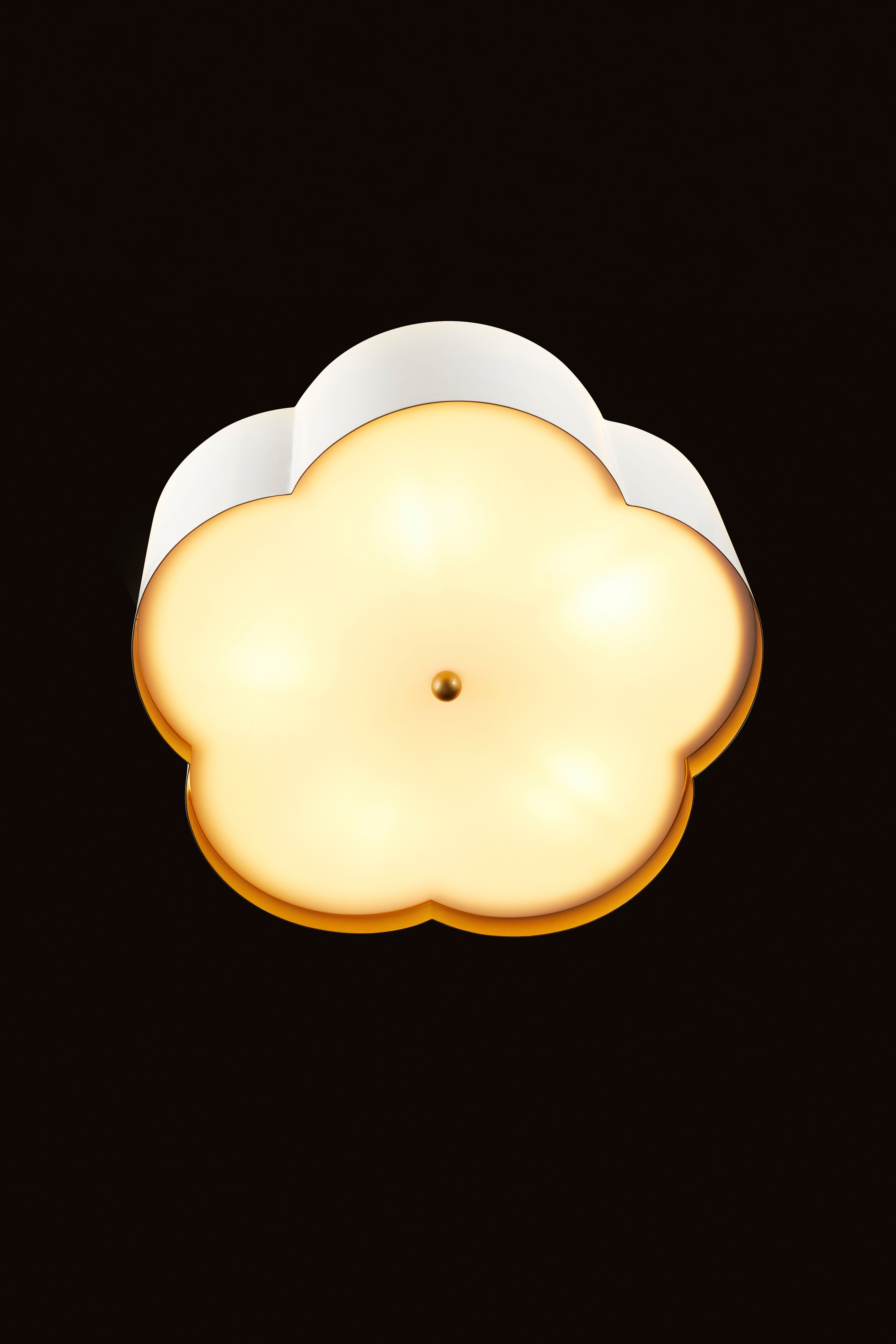 Jayden Flower Ceiling Light – HermanLives